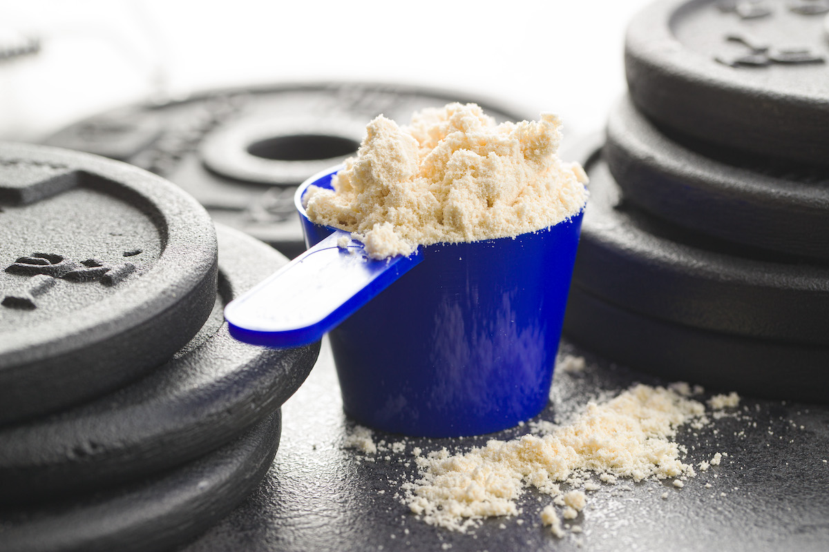 Nutrition : les protéines en musculation - FitZone