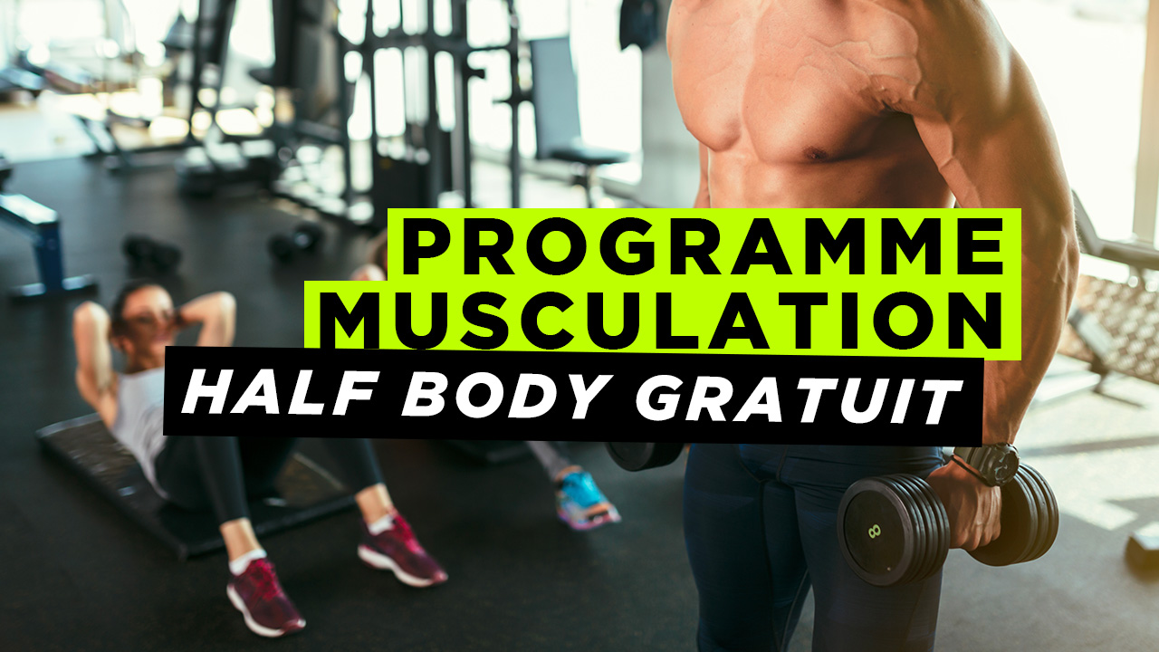 Programmes de musculation complets par semaine - FitZone